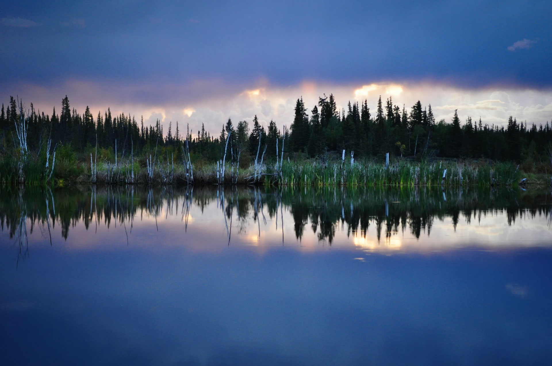 Contact | The Geological Association Of Canada | GAC®