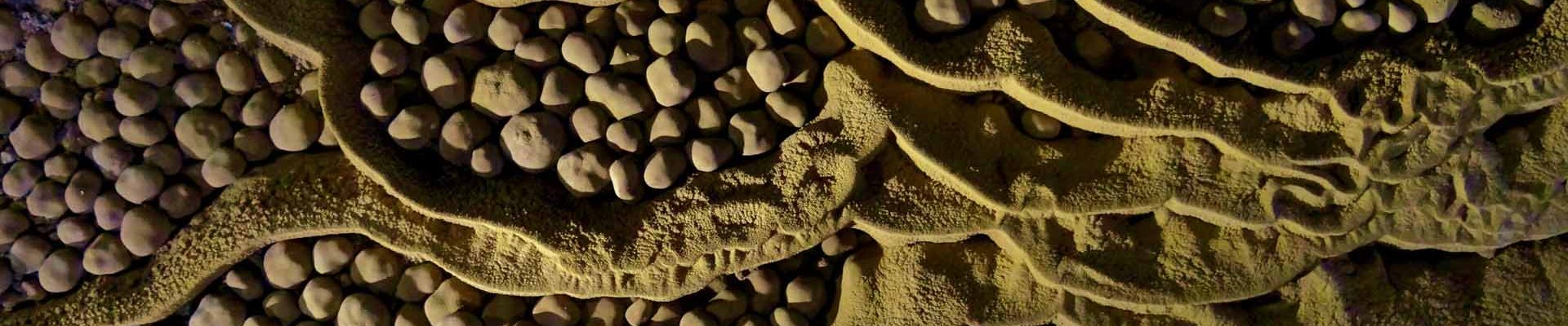 Divisions | The Geological Association Of Canada | GAC®