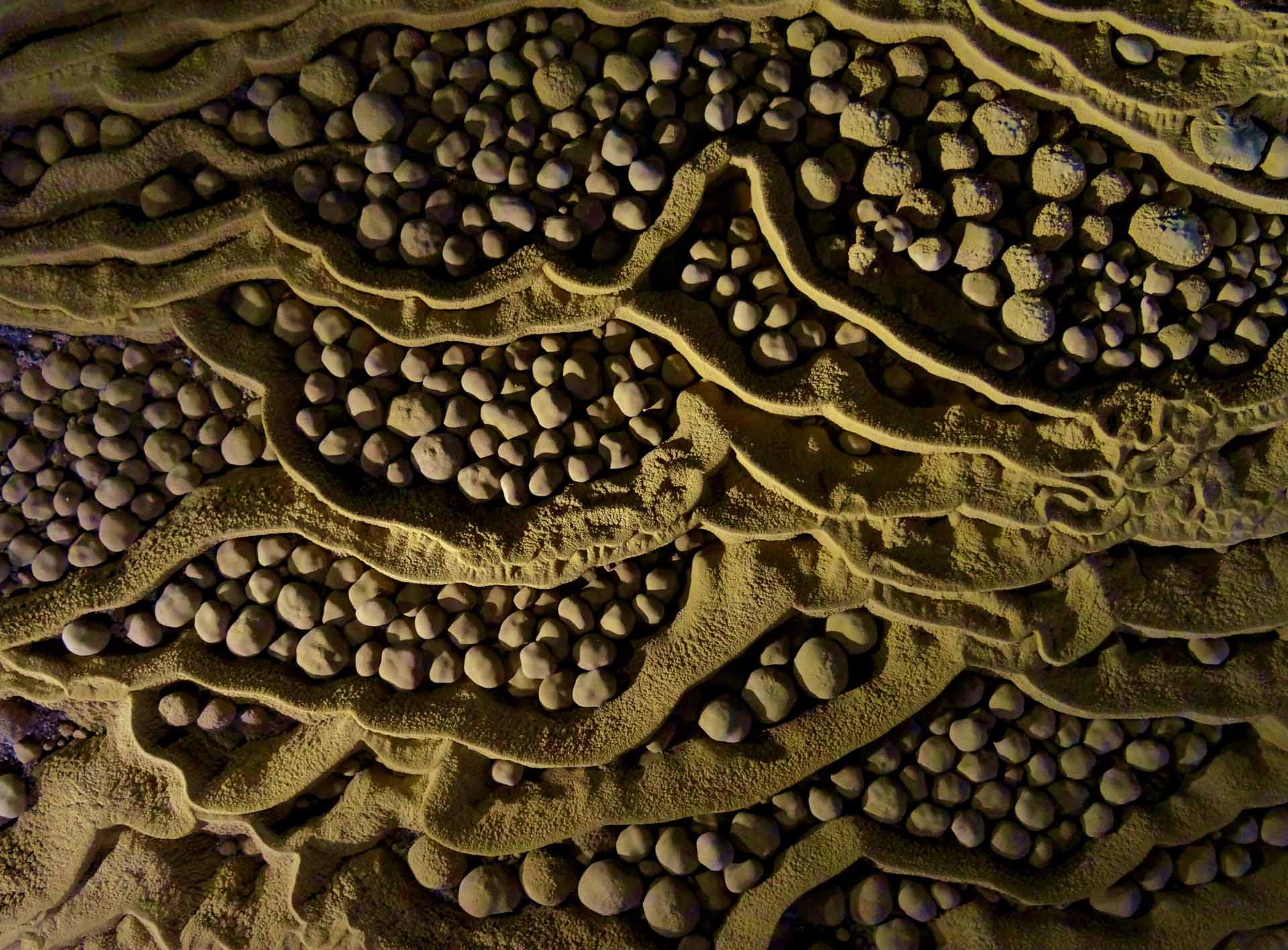 Divisions | The Geological Association Of Canada | GAC®