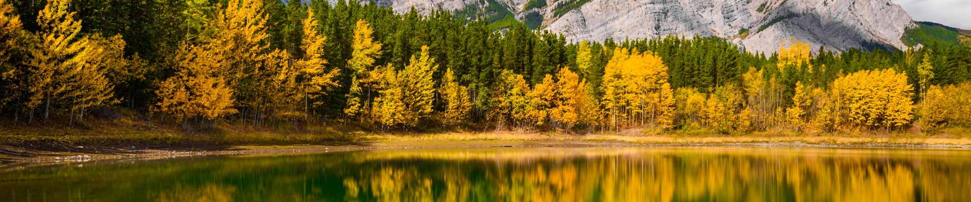 Publications | The Geological Association Of Canada | GAC®