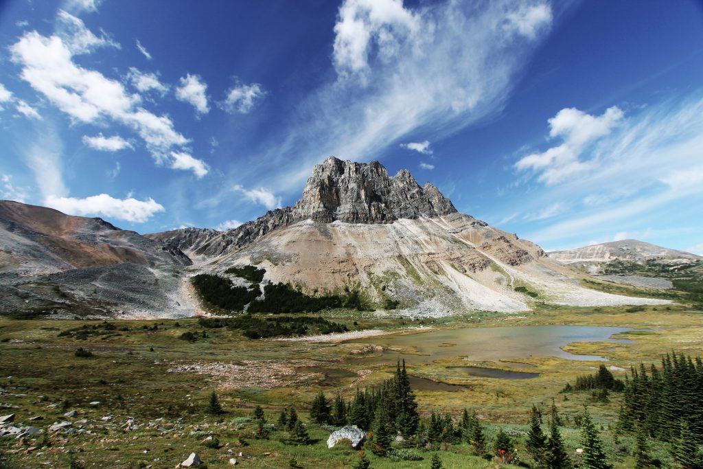 GAC-MAC 2021 Website now LIVE! | The Geological Association Of Canada ...