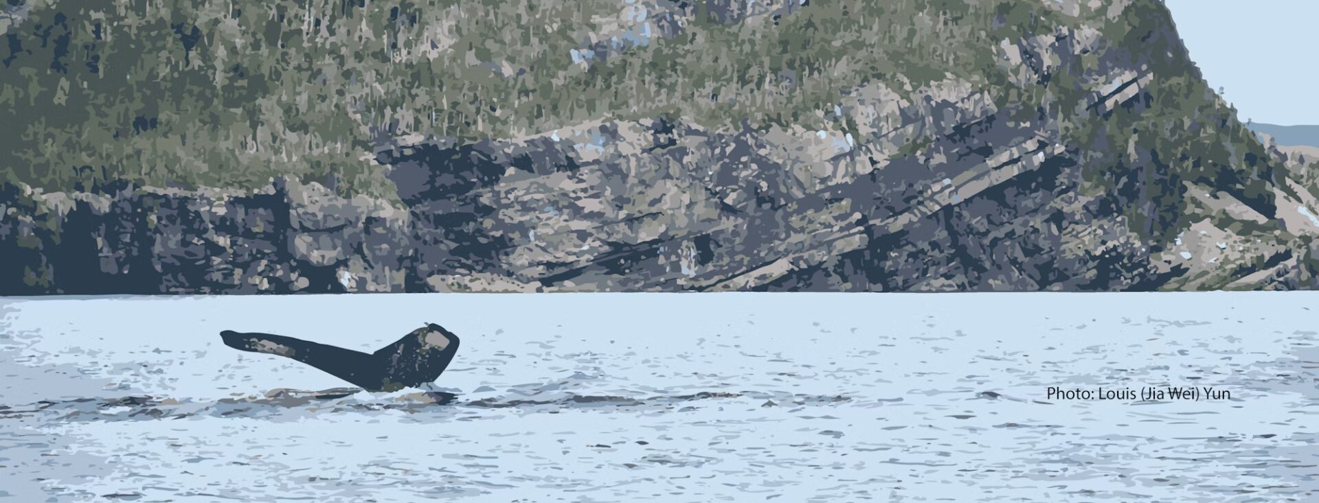 Home | The Geological Association Of Canada | GAC®